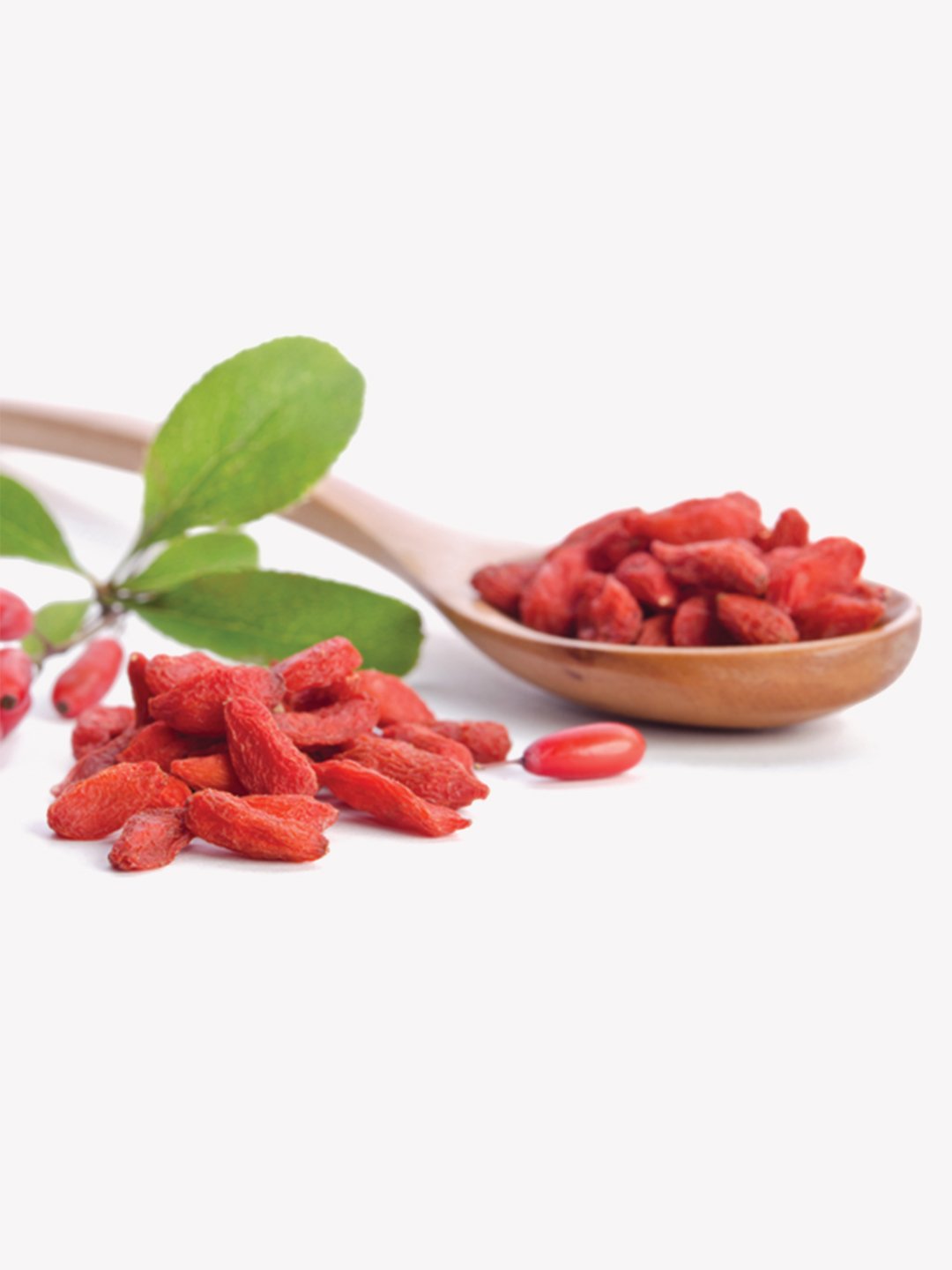 Goji Berry - The Nutcracker House